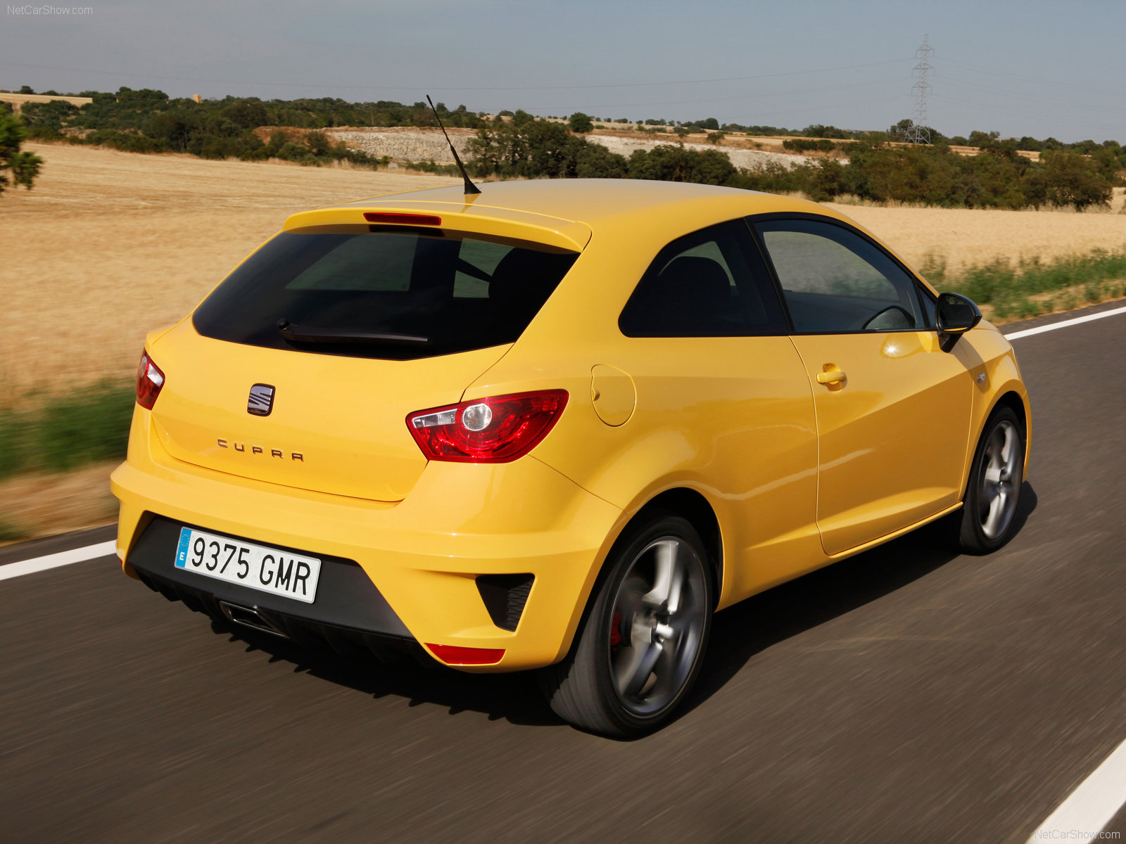 My perfect Seat Ibiza Cupra. 3DTuning - probably the best car configurator!